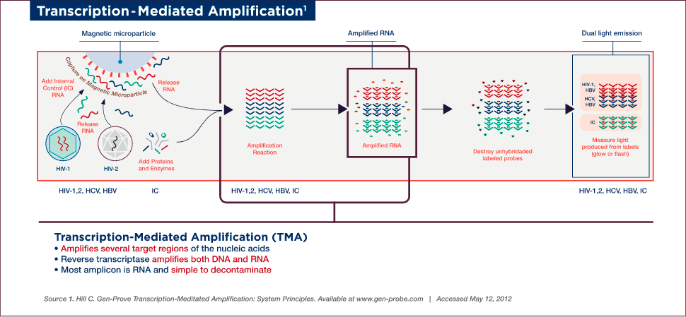 Donor Screening for Transfusion-Transmitted Infections (TTI)
