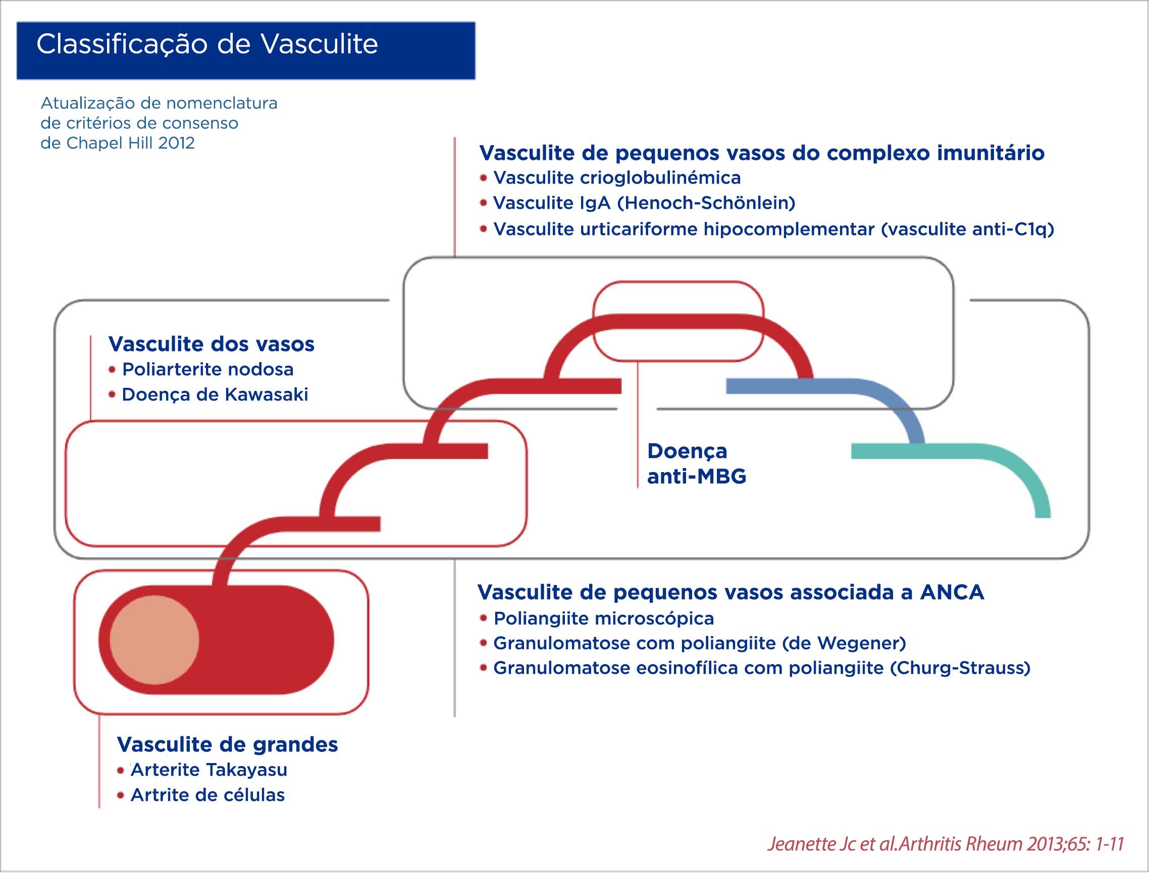 Classificacao De Vasculite Grátis: [RESUMO] VASCULITES DE PEQUENOS